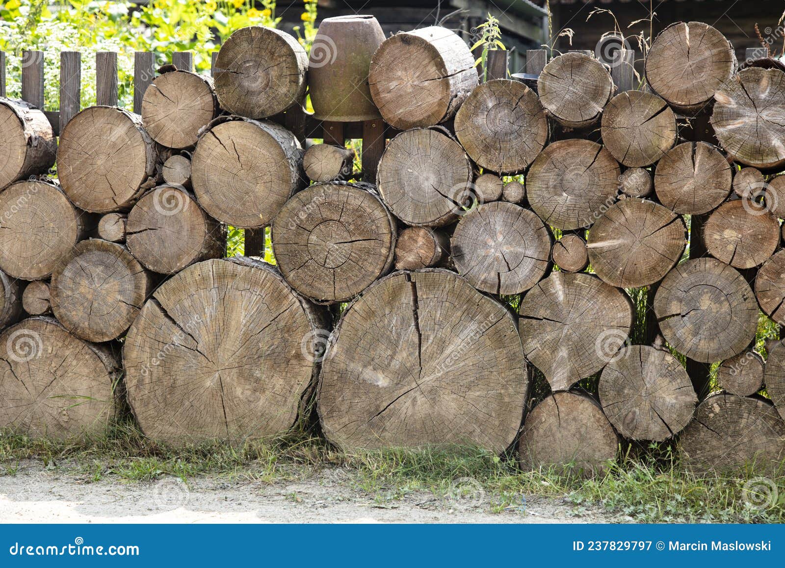 Tree Trunk Stacked on Top of Each Other Stock Image - Image of woodpile ...