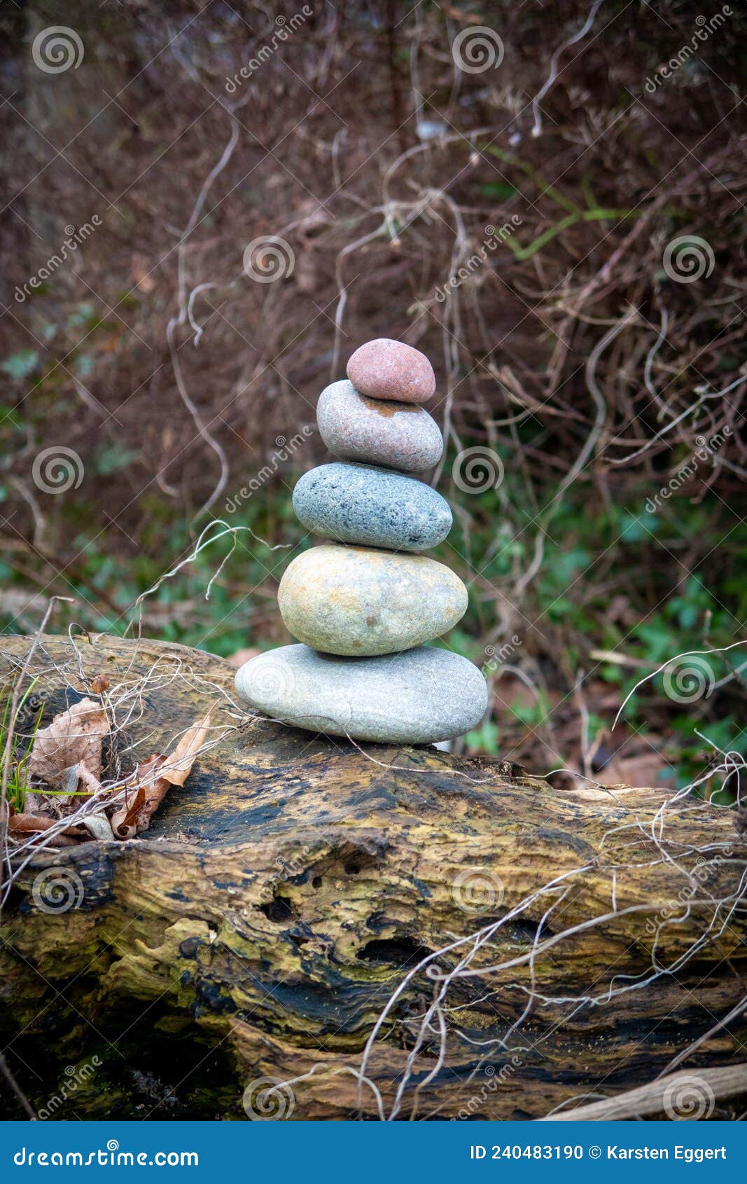 On the Tree Trunk Stands a Stone Stack with Different Colored Stones ...