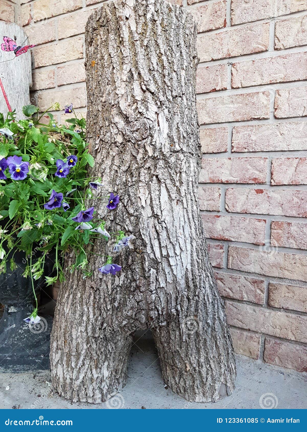 Tree trunk in the area stock image. Image of outdoor - 123361085