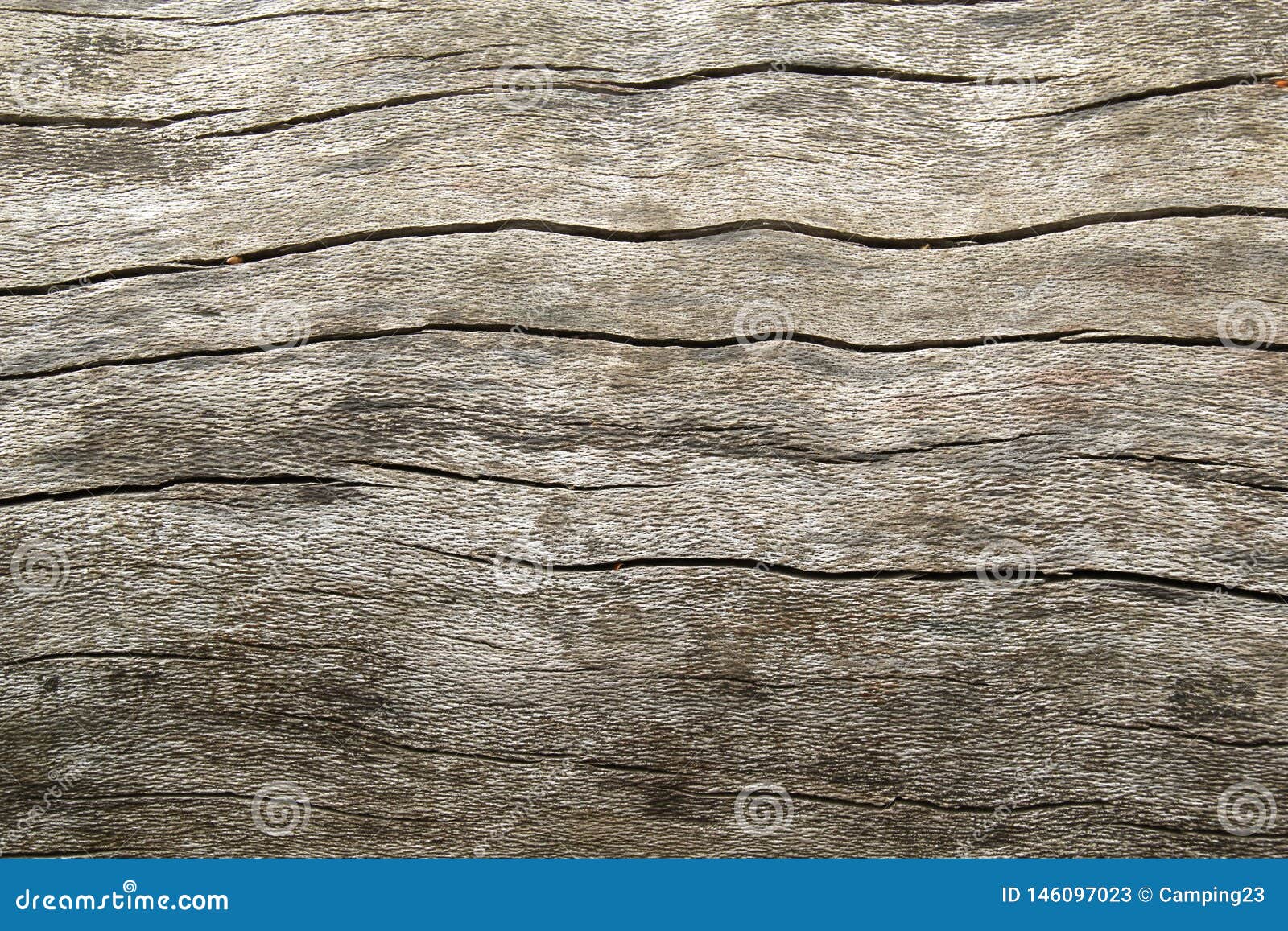 Tree Trunk texture stock image. Image of full, horizontal - 146097023