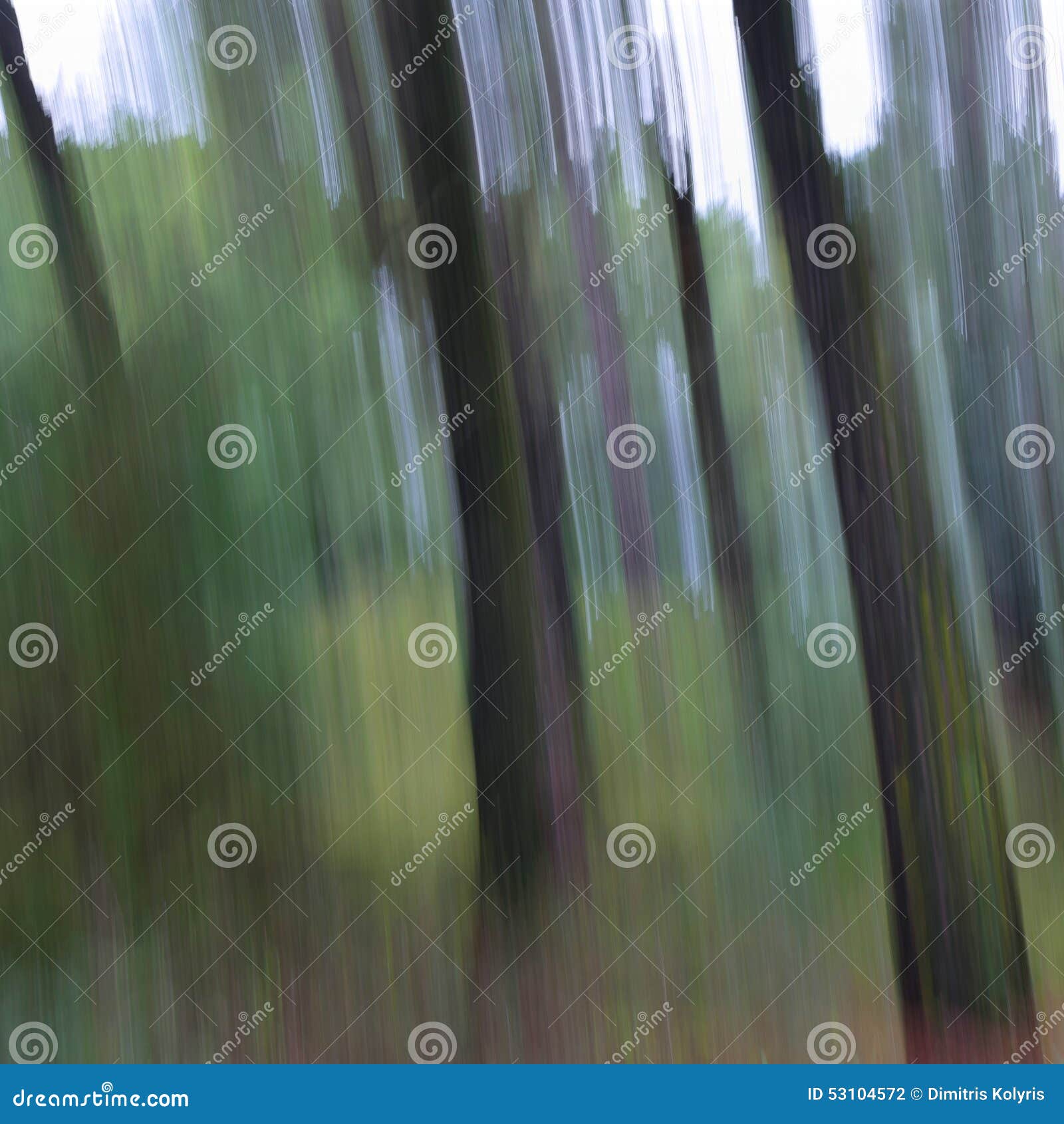 Tree trunks abstract blur stock photo. Image of colorful - 53104572