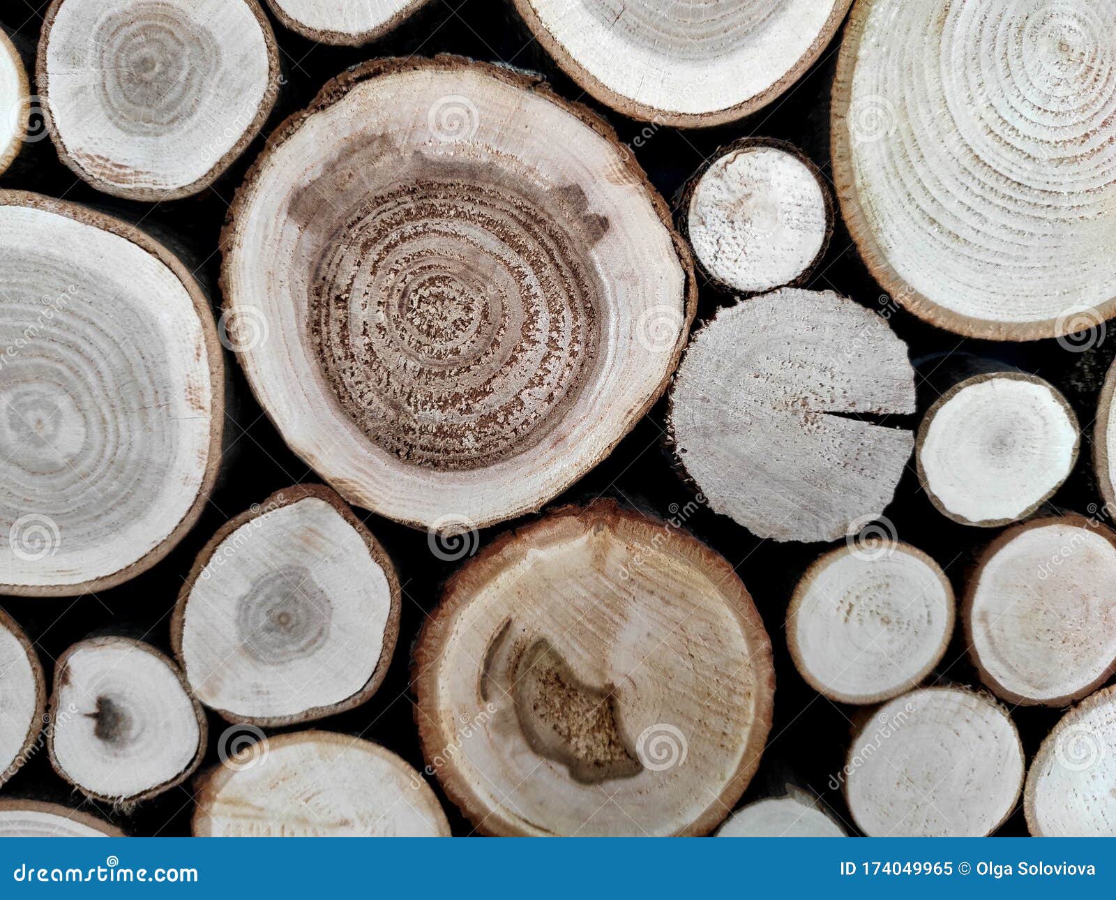 Tree Trunks Background, Decoration of Cutting Tree Stock Image - Image ...