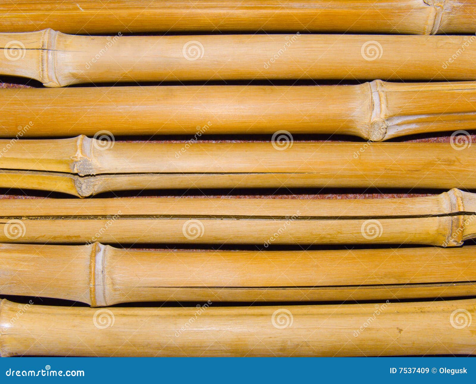 Tree trunks a bamboo stock image. Image of tropical, interior - 7537409