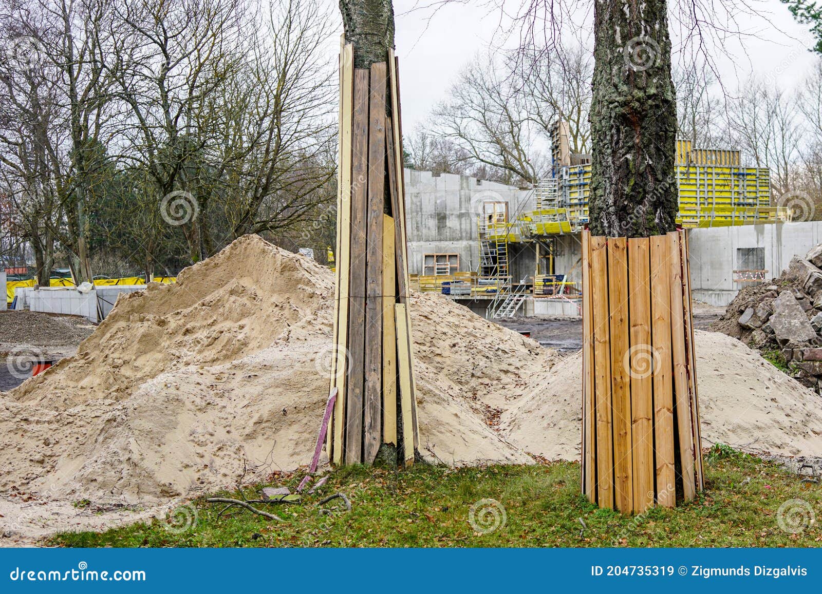 Tree Trunks on a Construction Site Covered with Boards To Protect Them ...