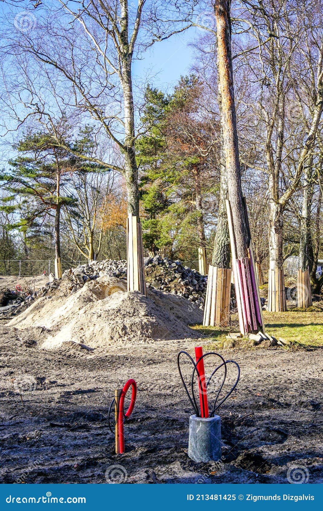 Tree Trunks on a Construction Site Covered with Boards To Protect Them ...