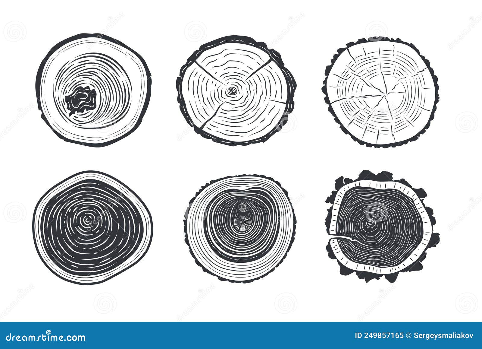 Tree trunks cross sections stock vector. Illustration of organic ...