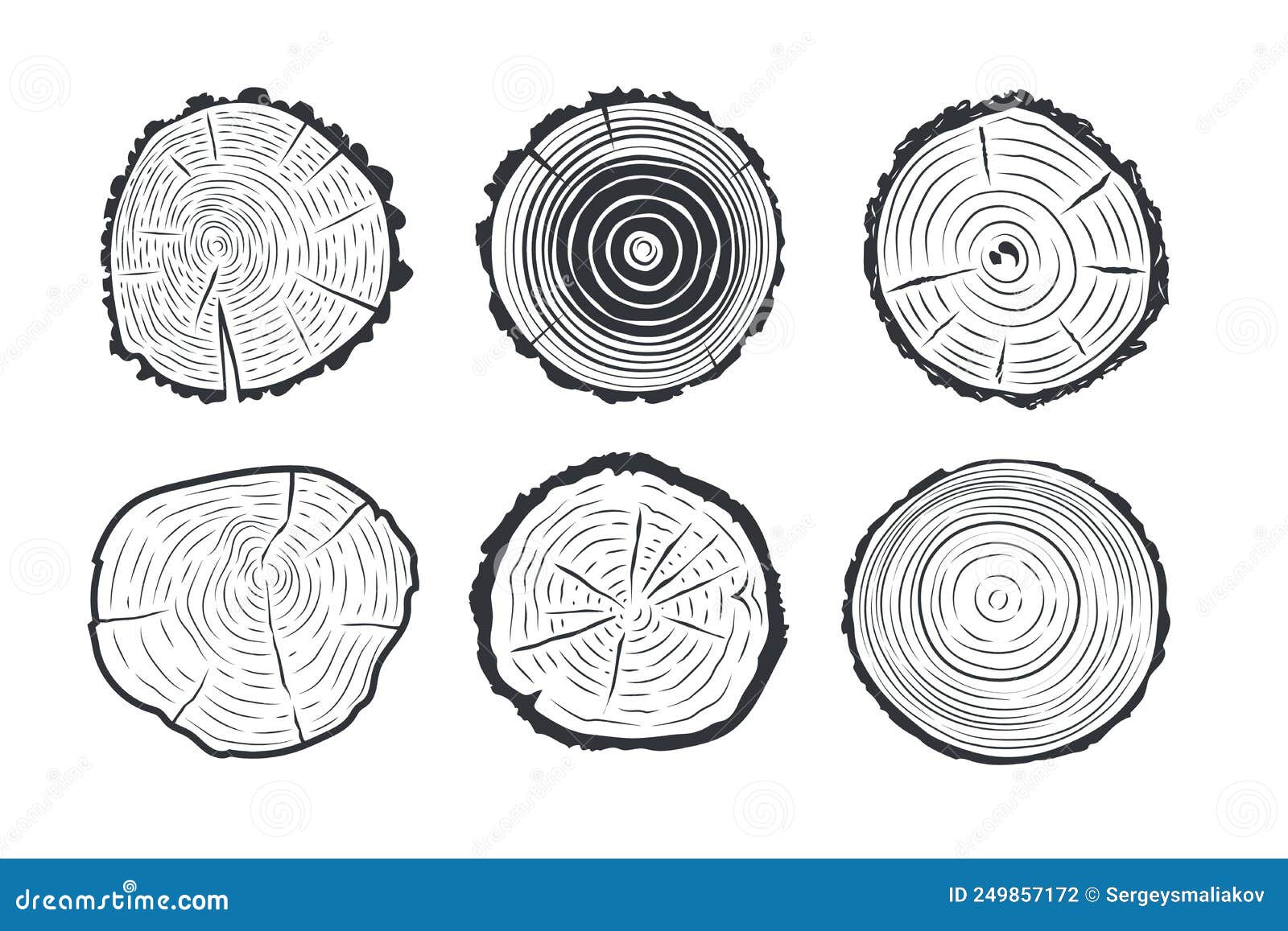 Tree trunks cross sections stock vector. Illustration of cross - 249857172