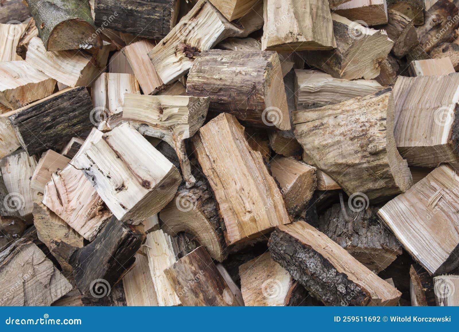 Tree Trunks Cut and Chopped in a Heap Ready To Be Laid. Fuel Stock ...