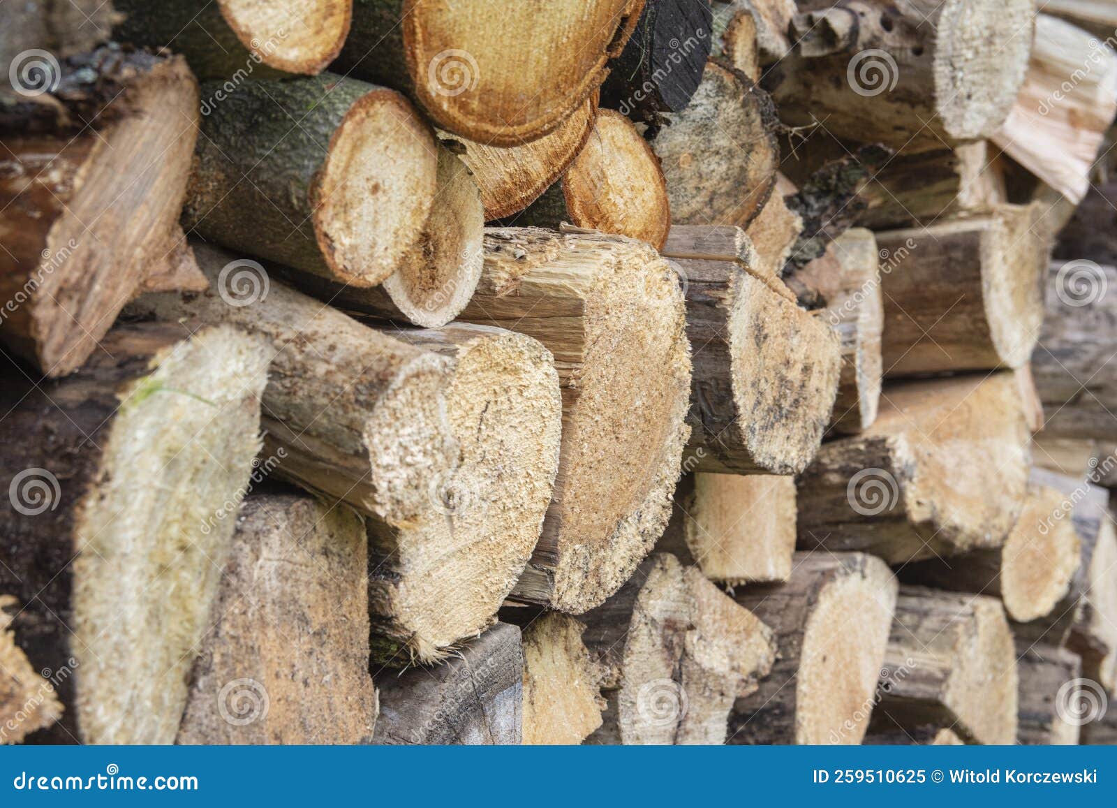Tree Trunks Cut and Chopped Stacked into a Wall Ready To Be Burned ...