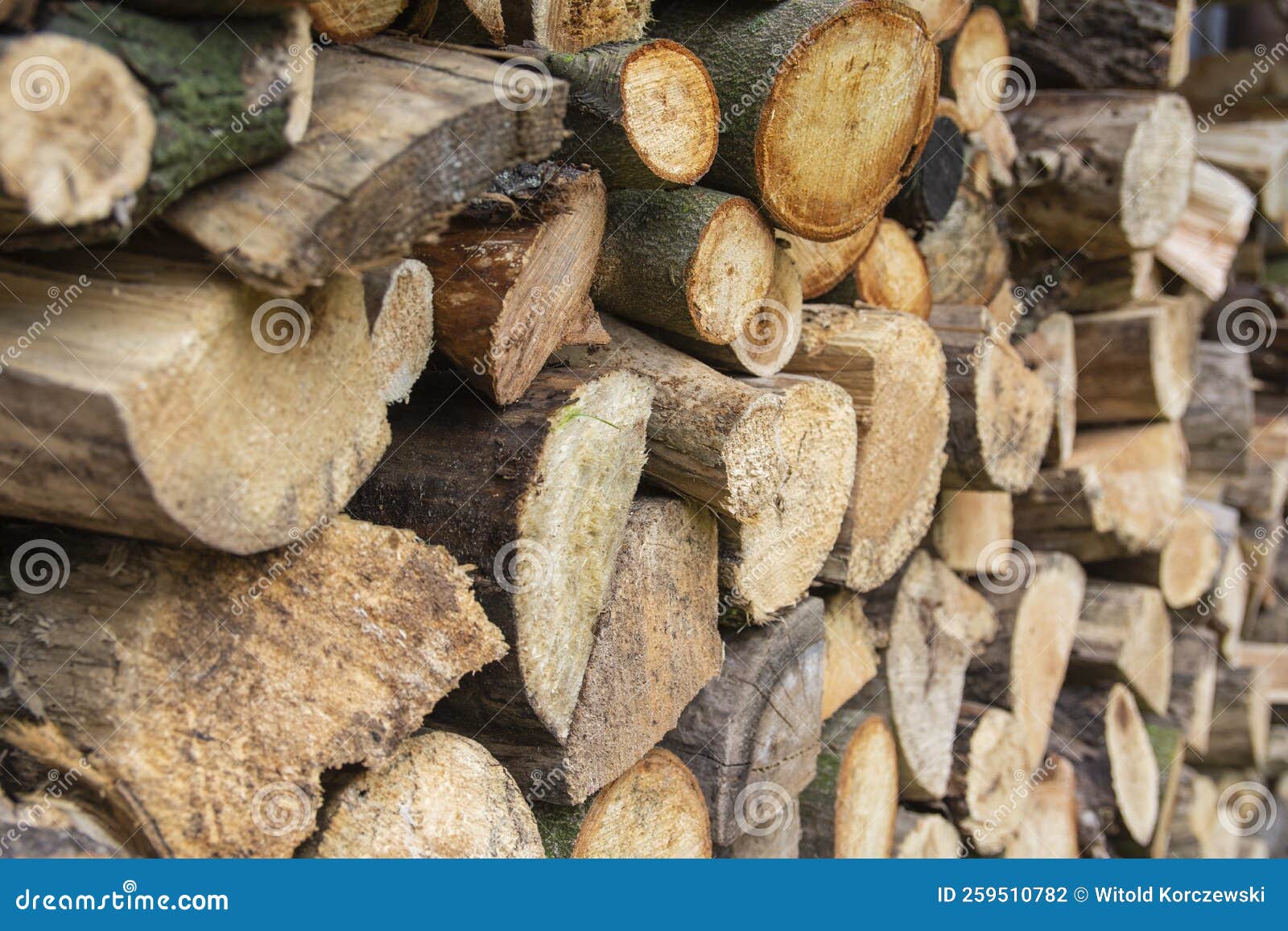 Tree Trunks Cut and Chopped Stacked into a Wall Ready To Be Burned ...
