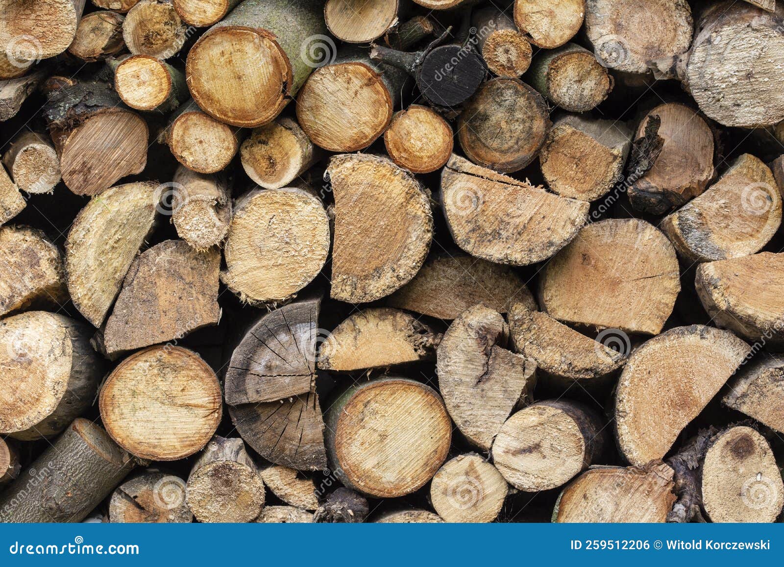 Tree Trunks Cut and Chopped Stacked into a Wall Ready To Be Burned ...