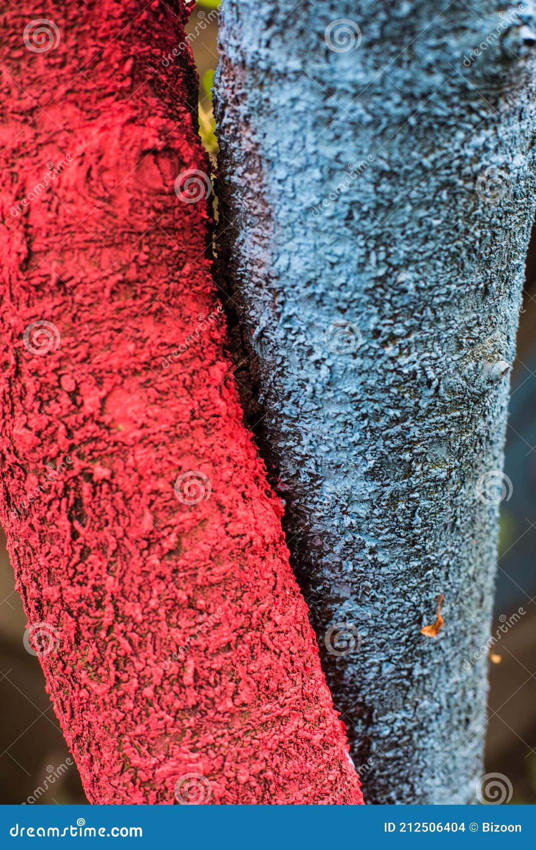 Tree Trunks Painted in Red and Blue Stock Photo - Image of blue ...
