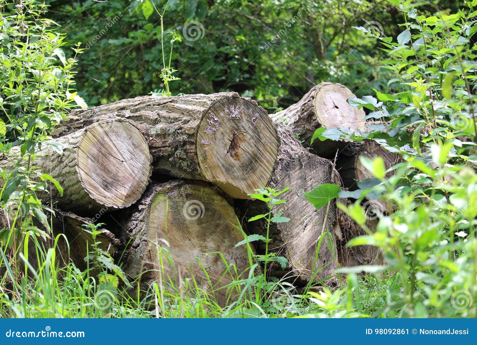 Trunks Stack The Woodcutter Serie Royalty-Free Stock Photo ...