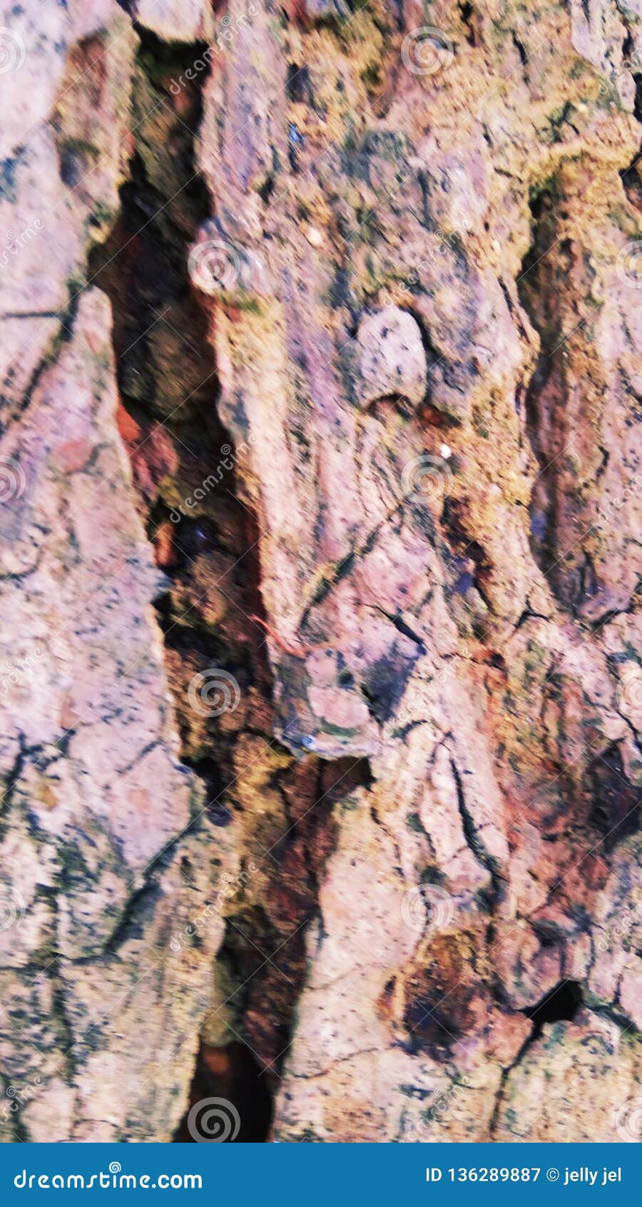 Tree trunks stock image. Image of trunks, tree, abstract - 136289887