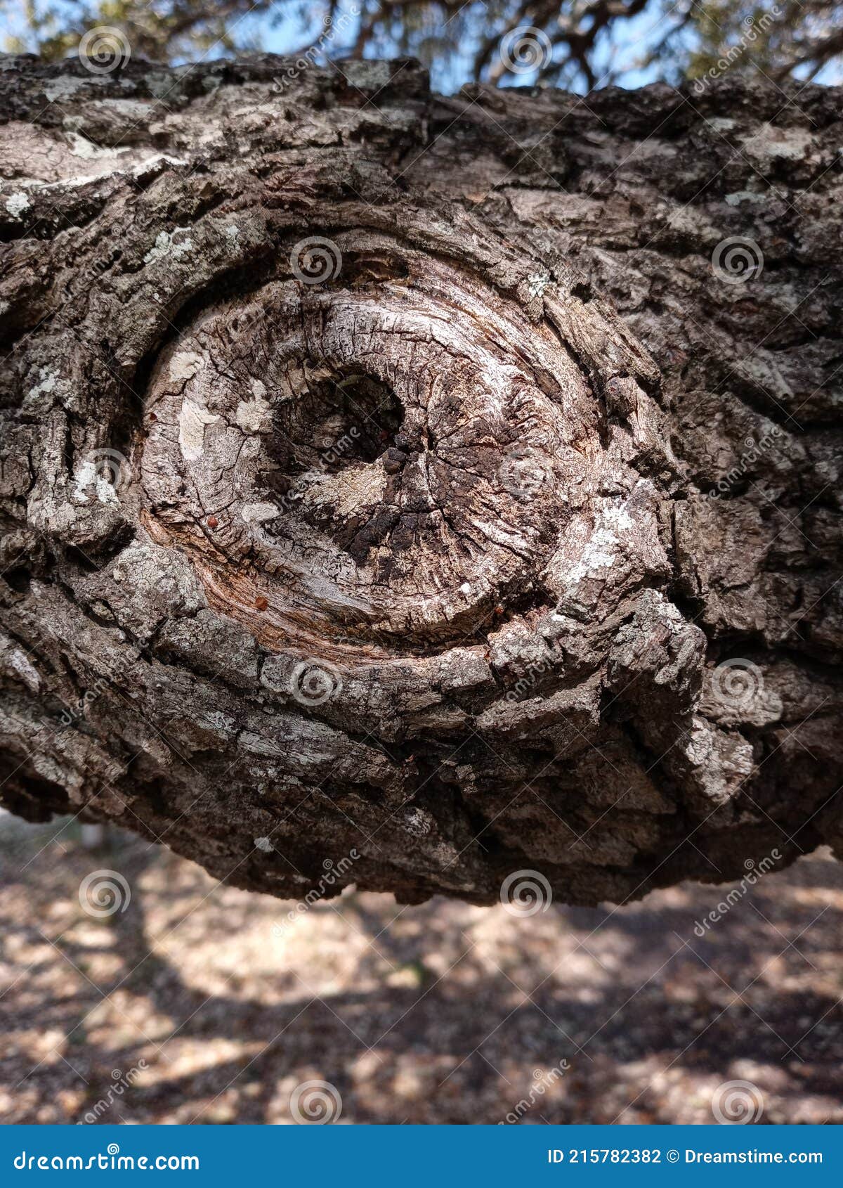 Tunk Knot Stock Photos - Free & Royalty-Free Stock Photos from Dreamstime