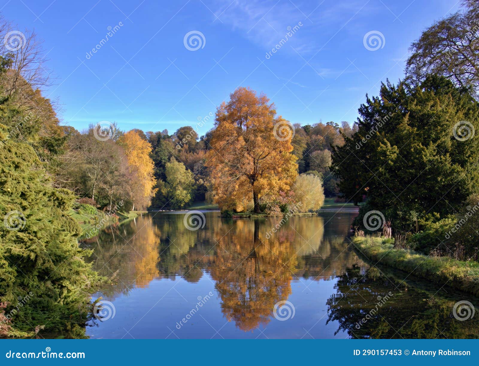 Tree Turning Orange in Autumn Stock Image - Image of orange, beautiful ...