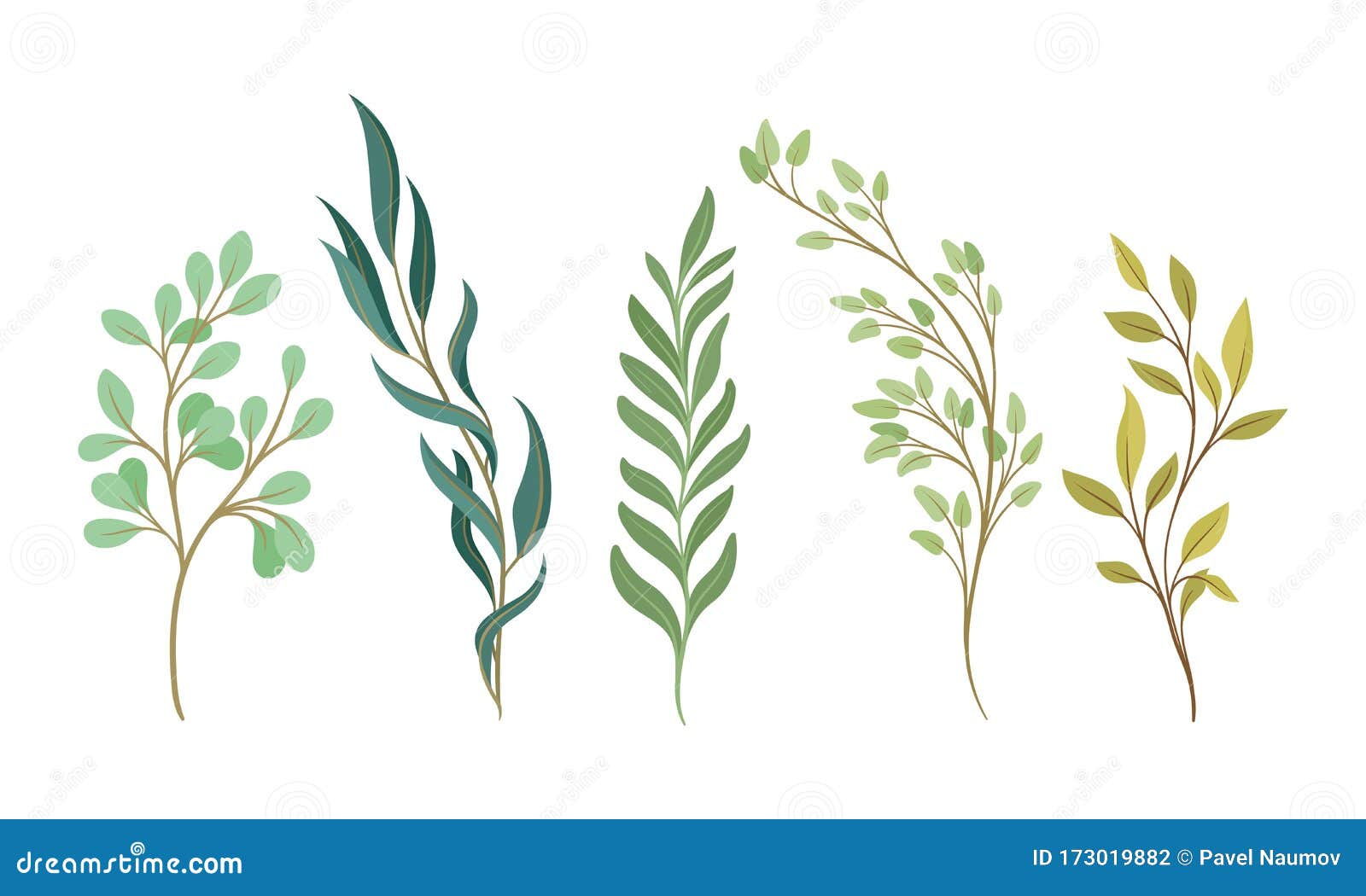 Tree Twigs and Branches with Green Leaves Vector Set Stock Vector ...