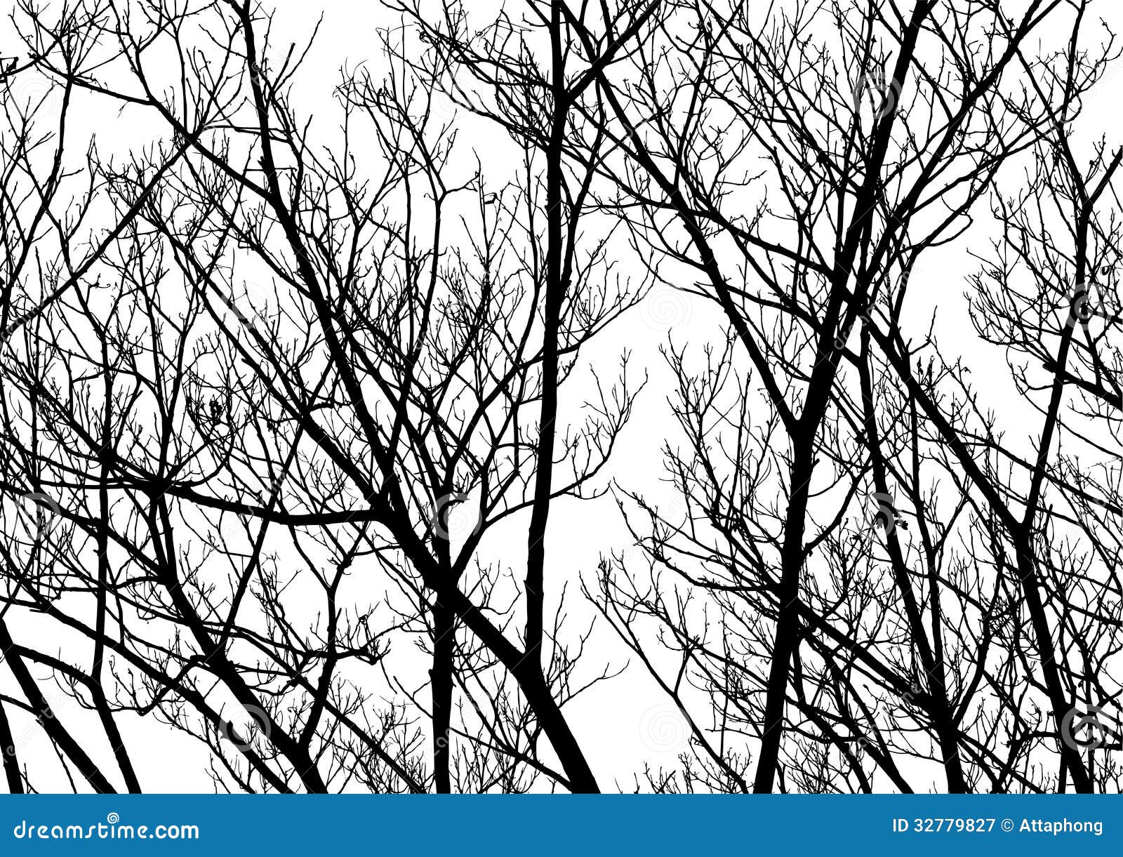 Tree Twigs Silhouette Vector | CartoonDealer.com #32779827