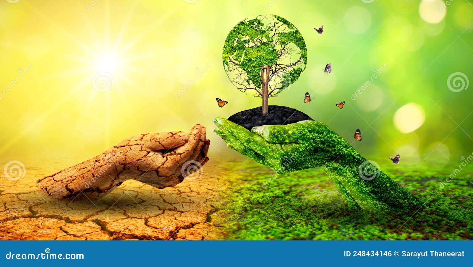 Tree in Two Hands with Very Different Environments Earth Day or World ...