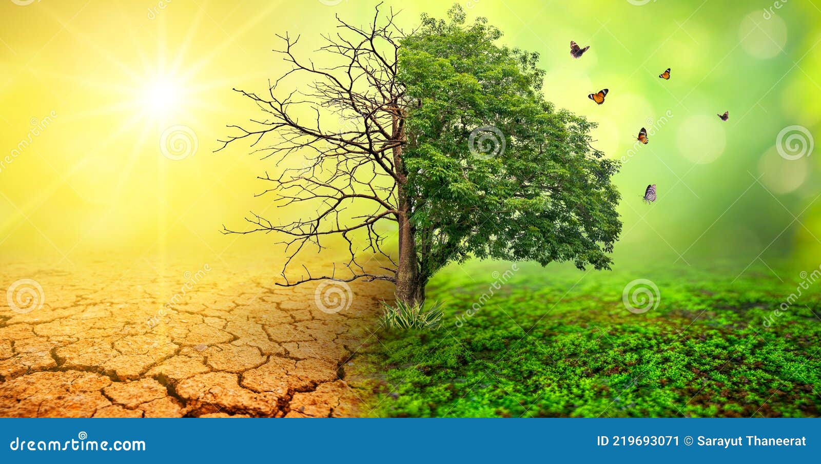 Tree in Two with Very Different Environments Earth Day or World ...