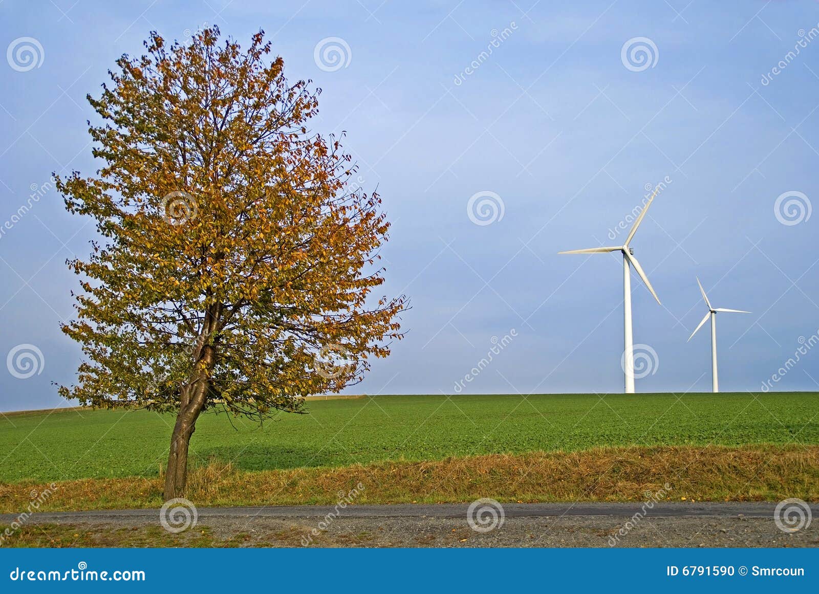 Tree and Two Wind Power Plants Stock Photo - Image of blue, autumn: 6791590