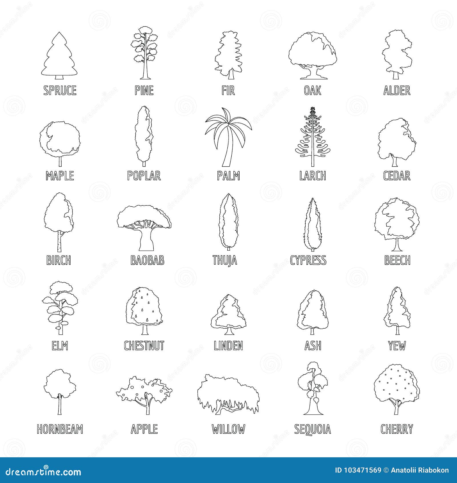 Tree Types Icons Set, Outline Style Stock Vector - Illustration of ... Tree Types Icons Set, Outline Style Stock Vector - Illustration of ...