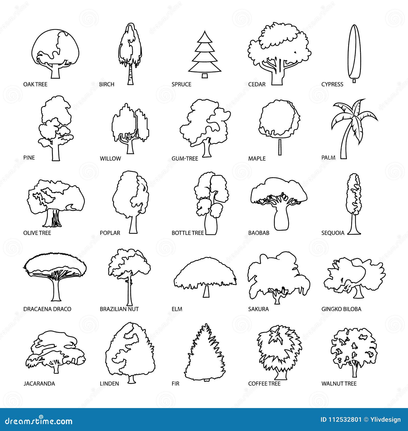 Tree Types Icons Set, Outline Style Stock Vector - Illustration of ... Tree Types Icons Set, Outline Style Stock Vector - Illustration of ...