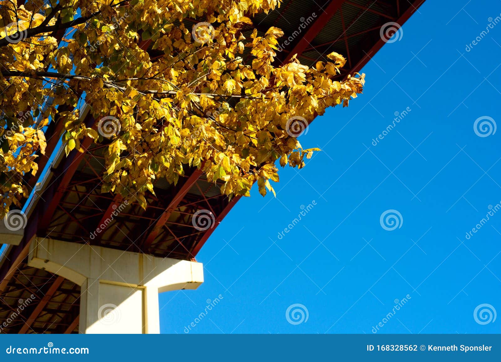 Tree Under Freeway Bridge Span Stock Photo - Image of beige ...