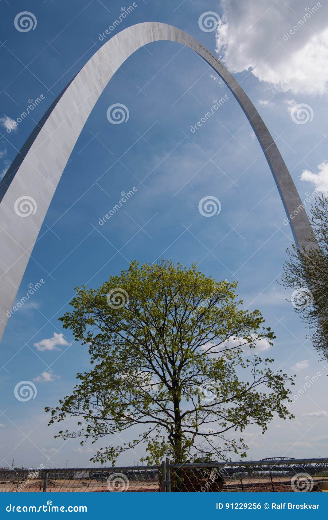 Tree under Gateway Arch stock photo. Image of atch, stainless - 91229256