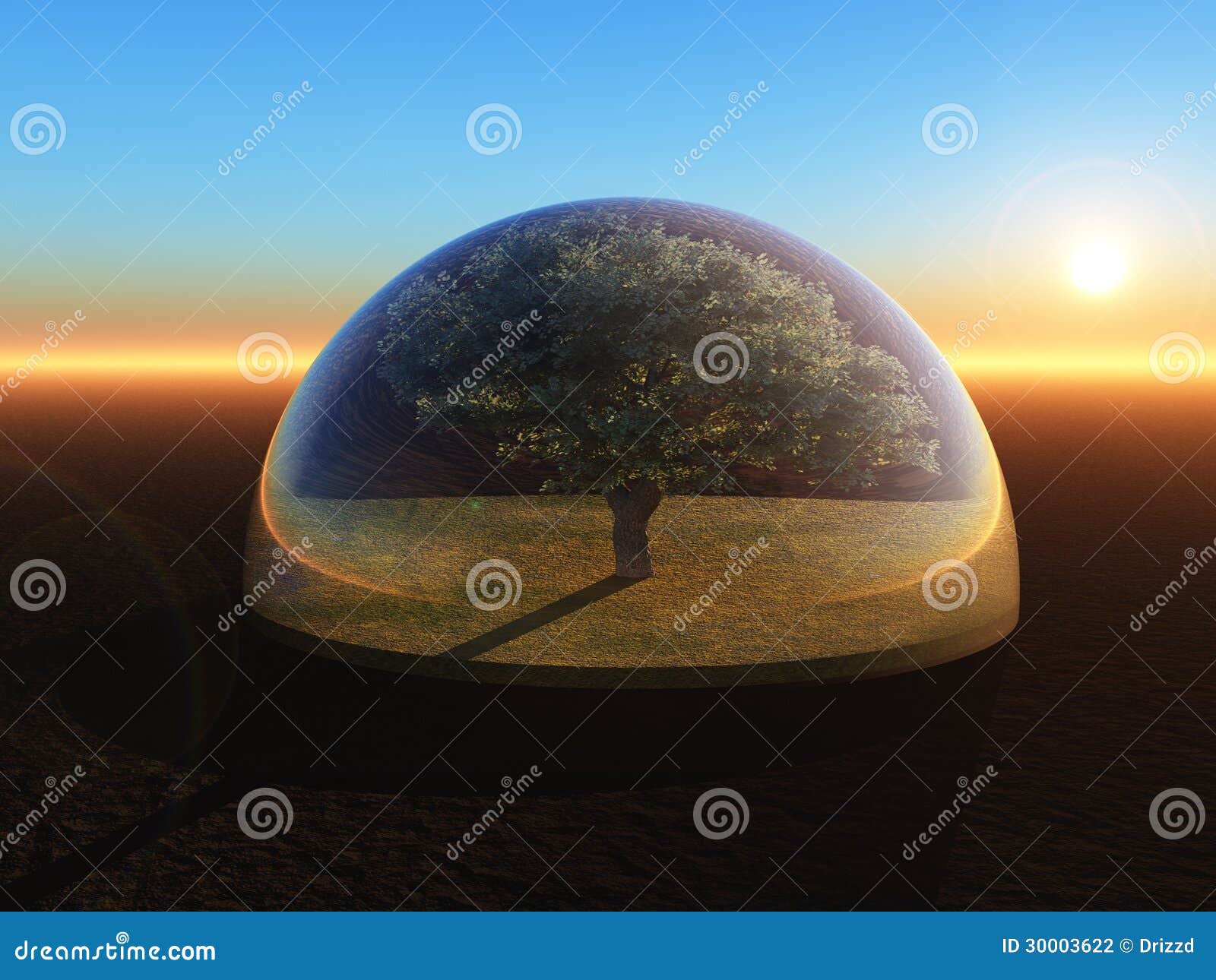 Tree under glass dome stock illustration. Illustration of mirror - 30003622
