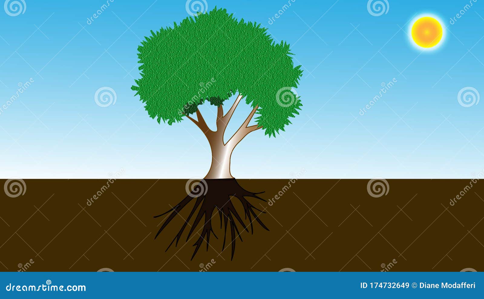 Tree with Under Ground Roots Illustration Stock Illustration ...