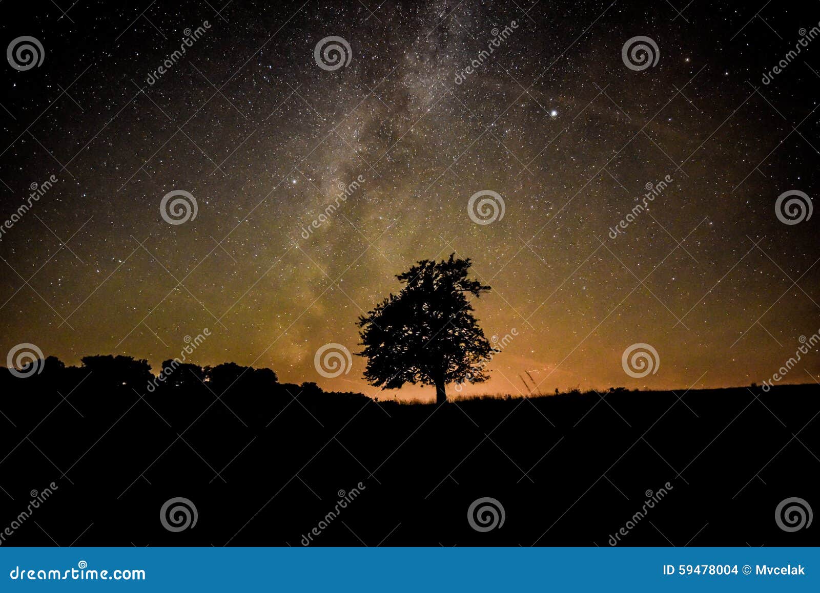 Tree under stars stock photo. Image of forest, slovakia - 59478004