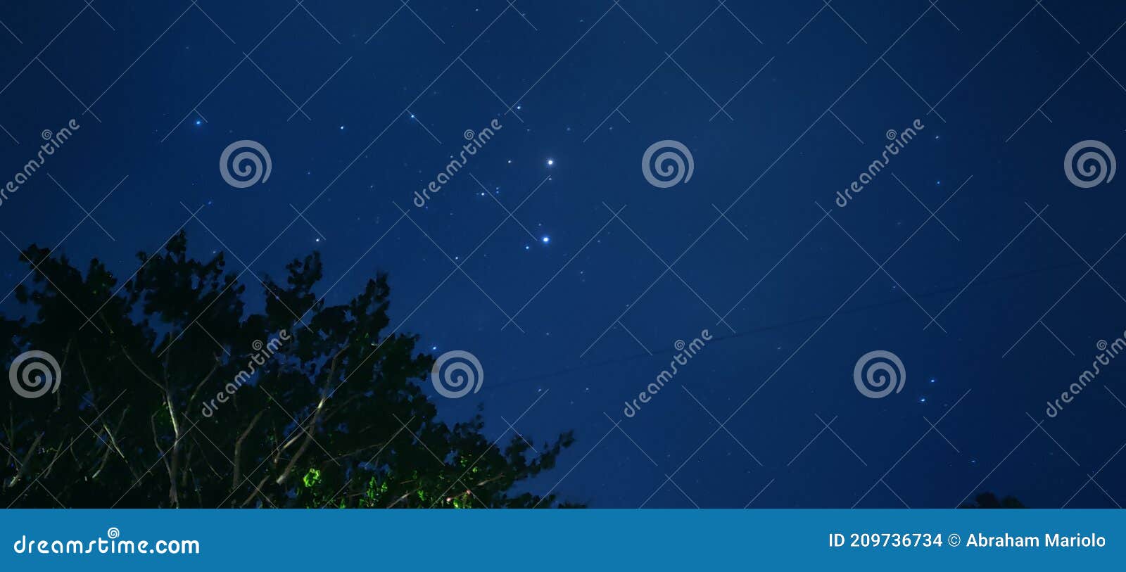 The tree under the stars stock photo. Image of astronomy - 209736734