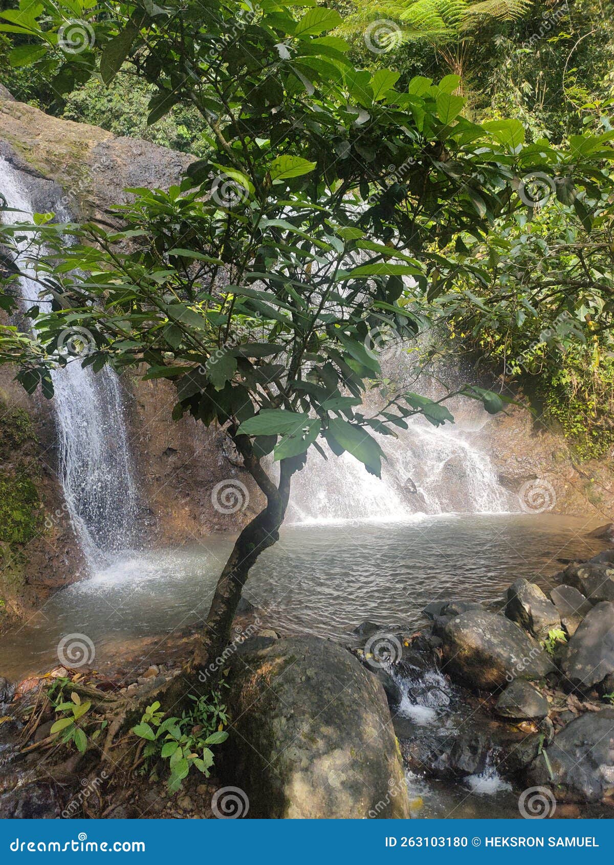 Tree Under the Waterfall in the Morning Stock Photo - Image of nature ...