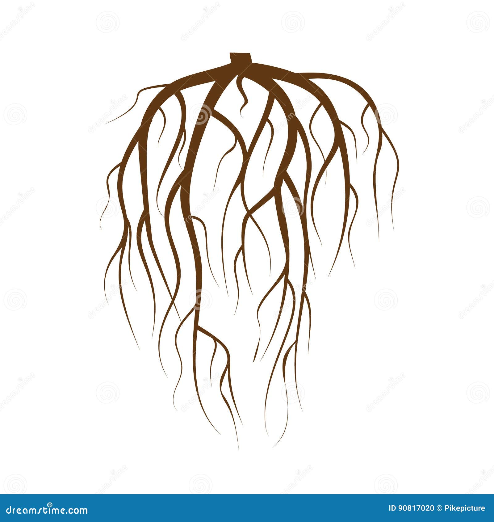 Underground With Roots And Mushrooms. Vector Illustration ...