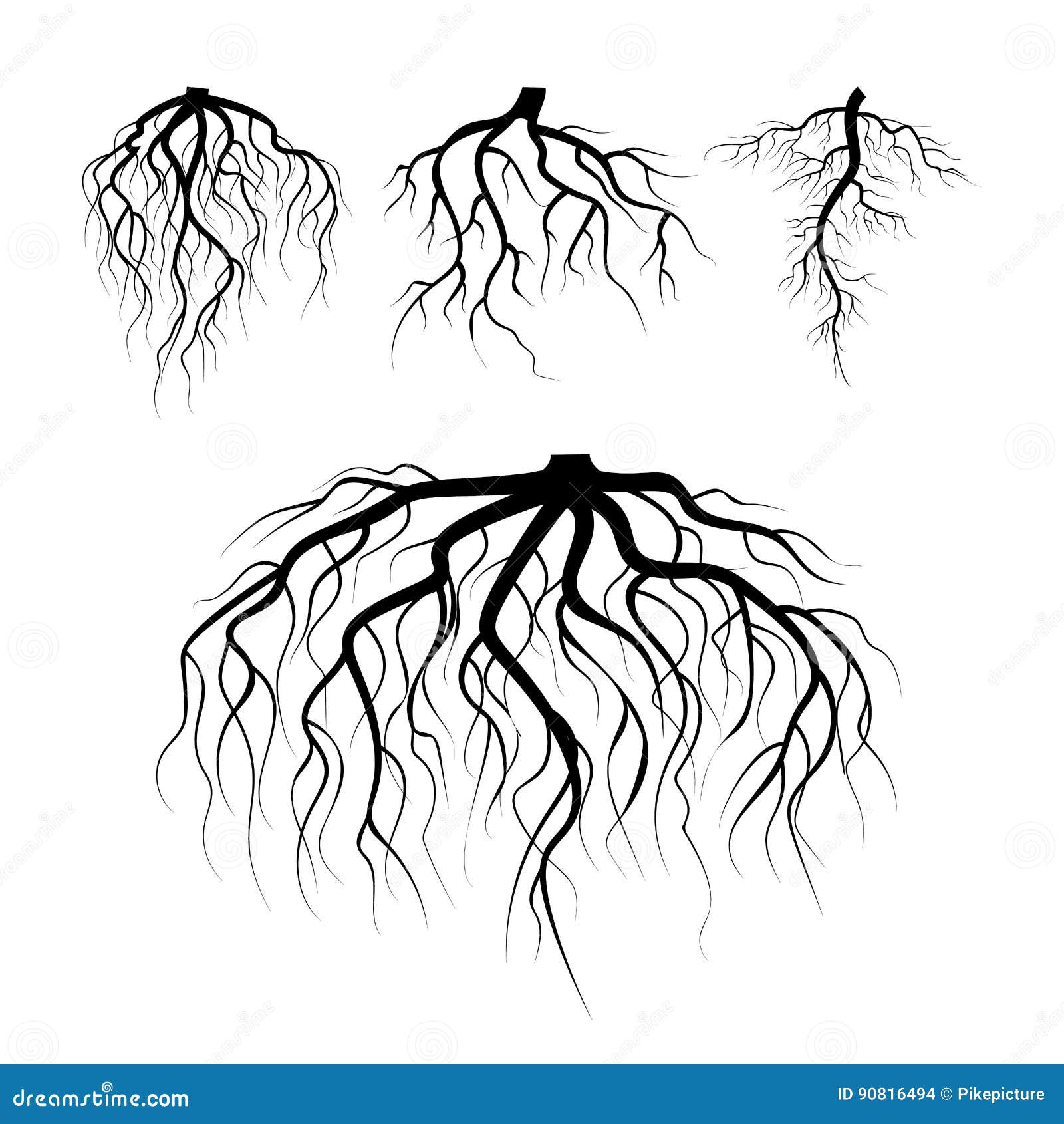Tree Underground Roots Vector. Plant Underground Roots Set. Tree Root ... Tree Underground Roots Vector. Plant Underground Roots Set. Tree Root ...