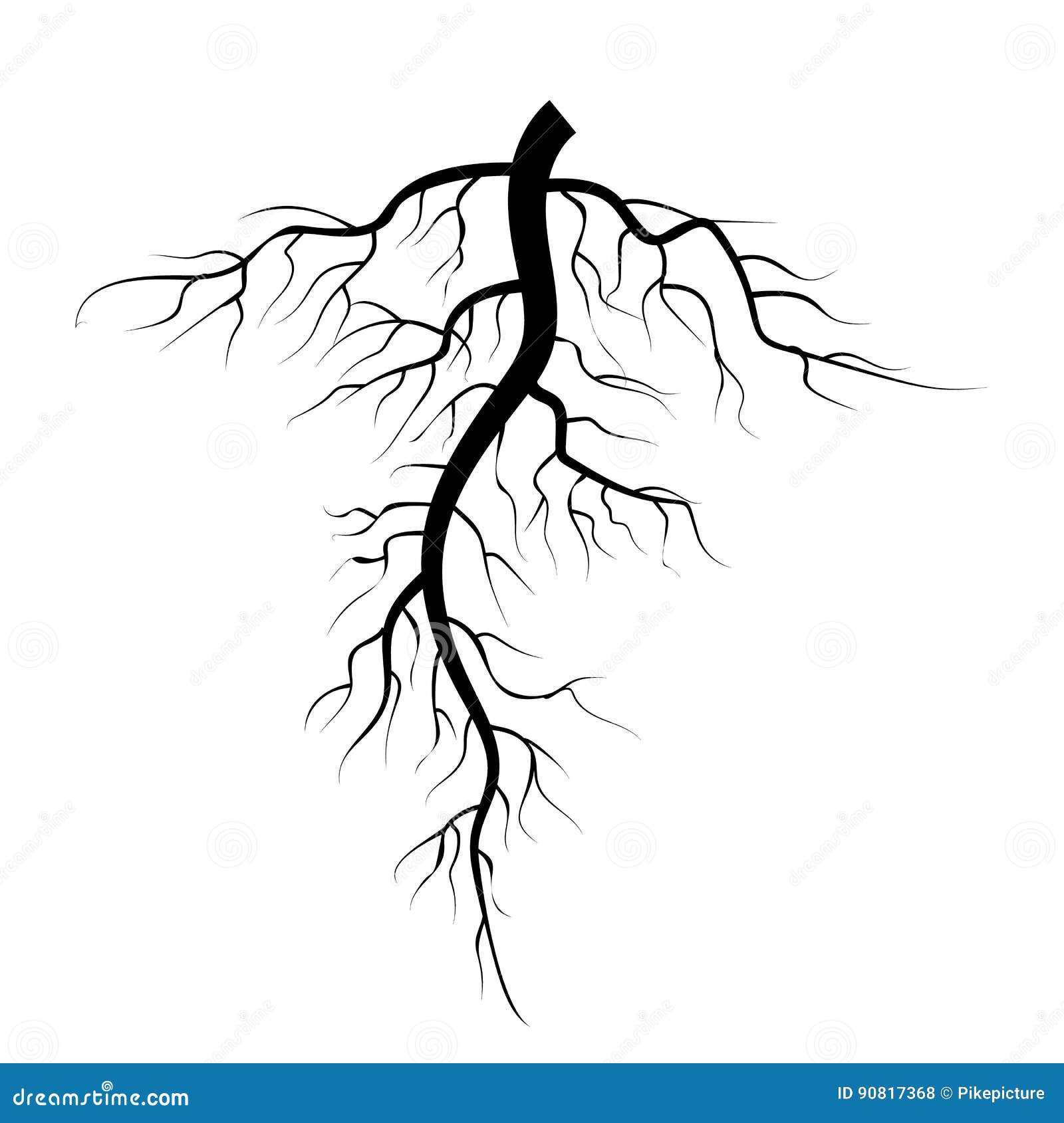 Underground With Roots And Mushrooms. Vector Illustration ...