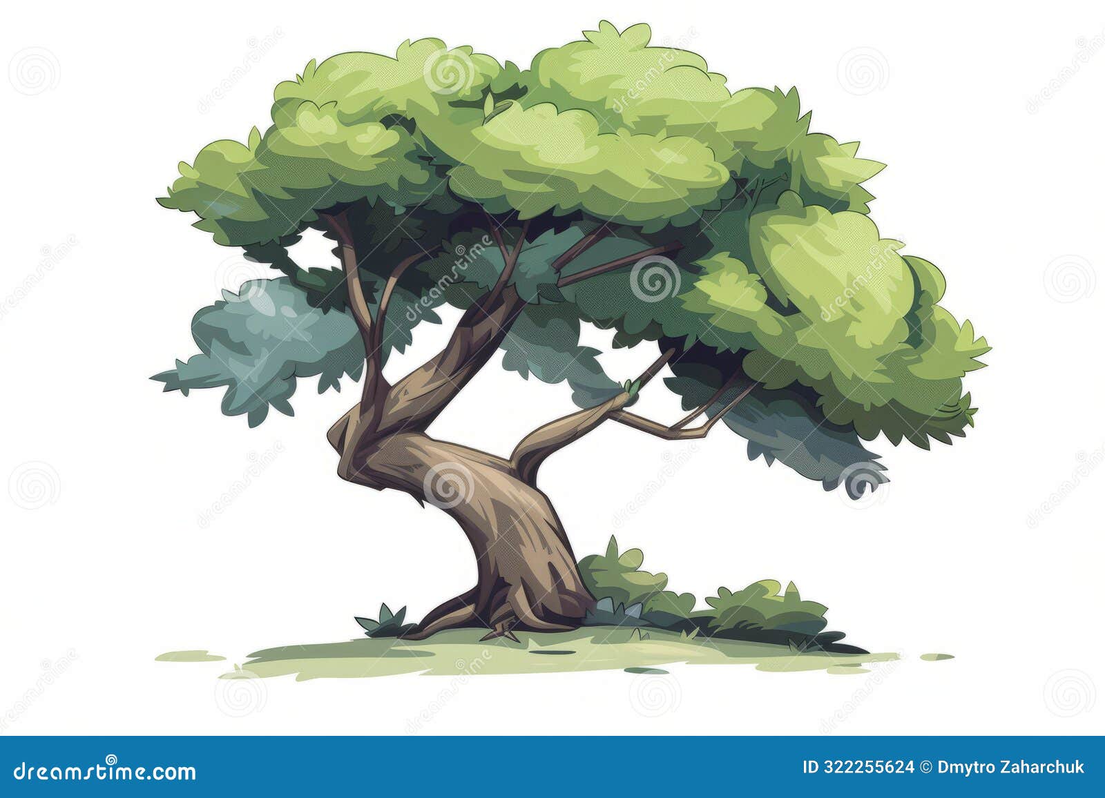 Tree of Unique Shape on a White Background Png. Stock Photo ...