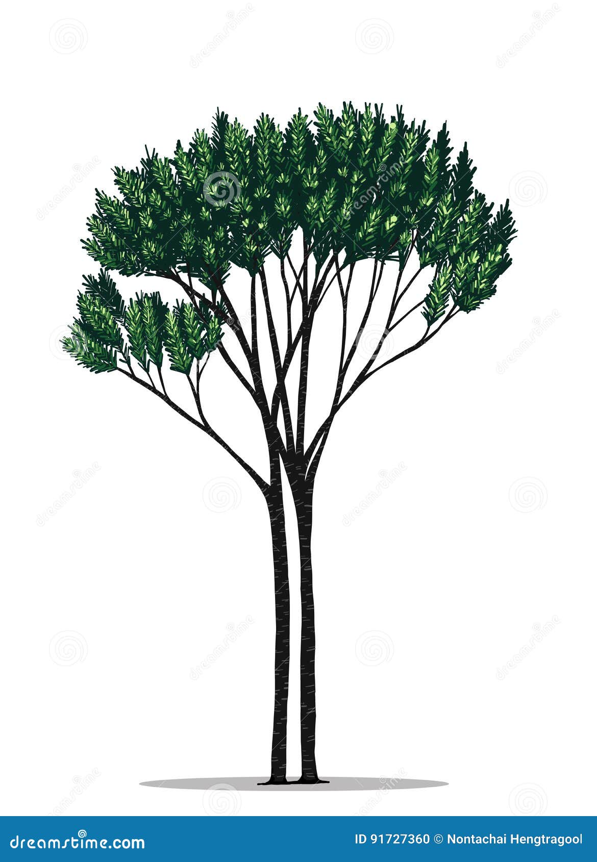 Tree Vector by Hand Drawing Stock Vector - Illustration of border, plum ...