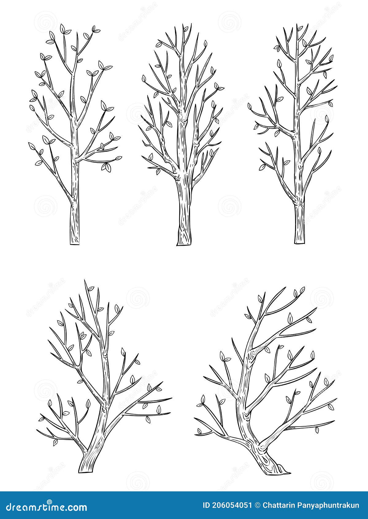 Vector Set of Side View Tree Isolated on White Background. Stock Vector ...