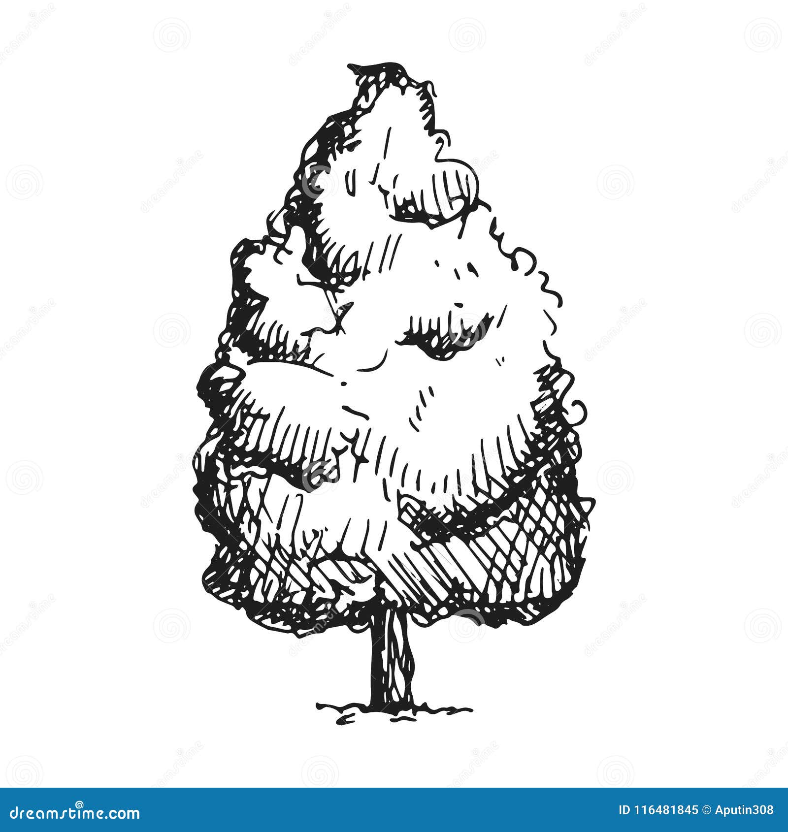Tree Vector Sketch. Hand Drawing Stock Vector - Illustration of trees ...