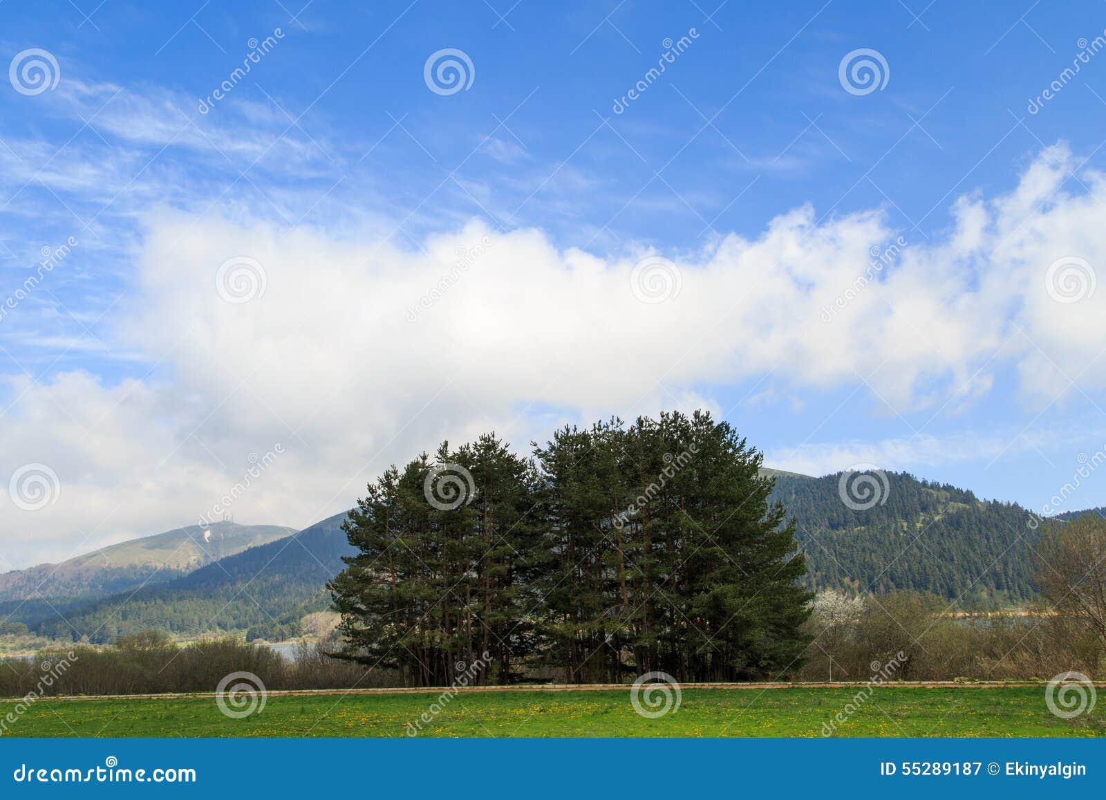 Tree View with Mountain stock image. Image of ecological - 55289187