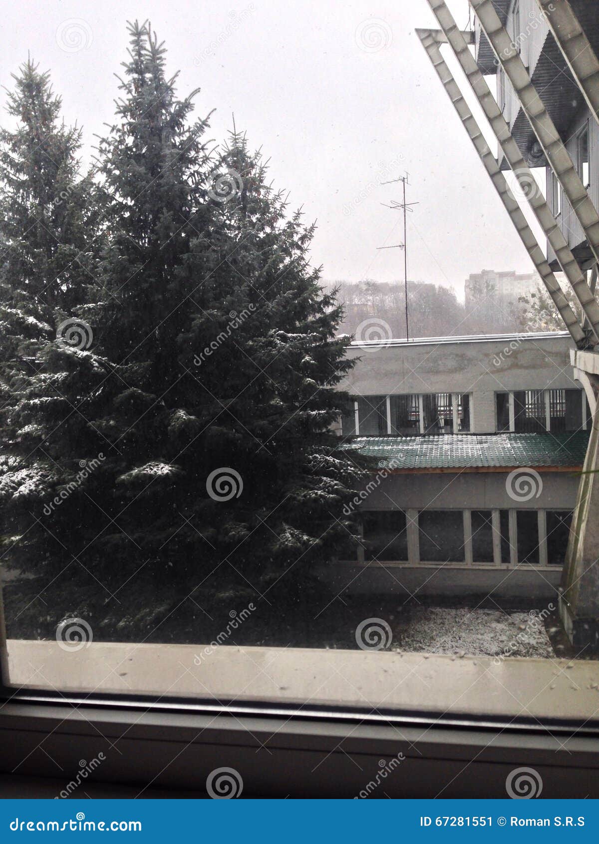 Tree stock image. Image of tree, nature, view, window - 67281551