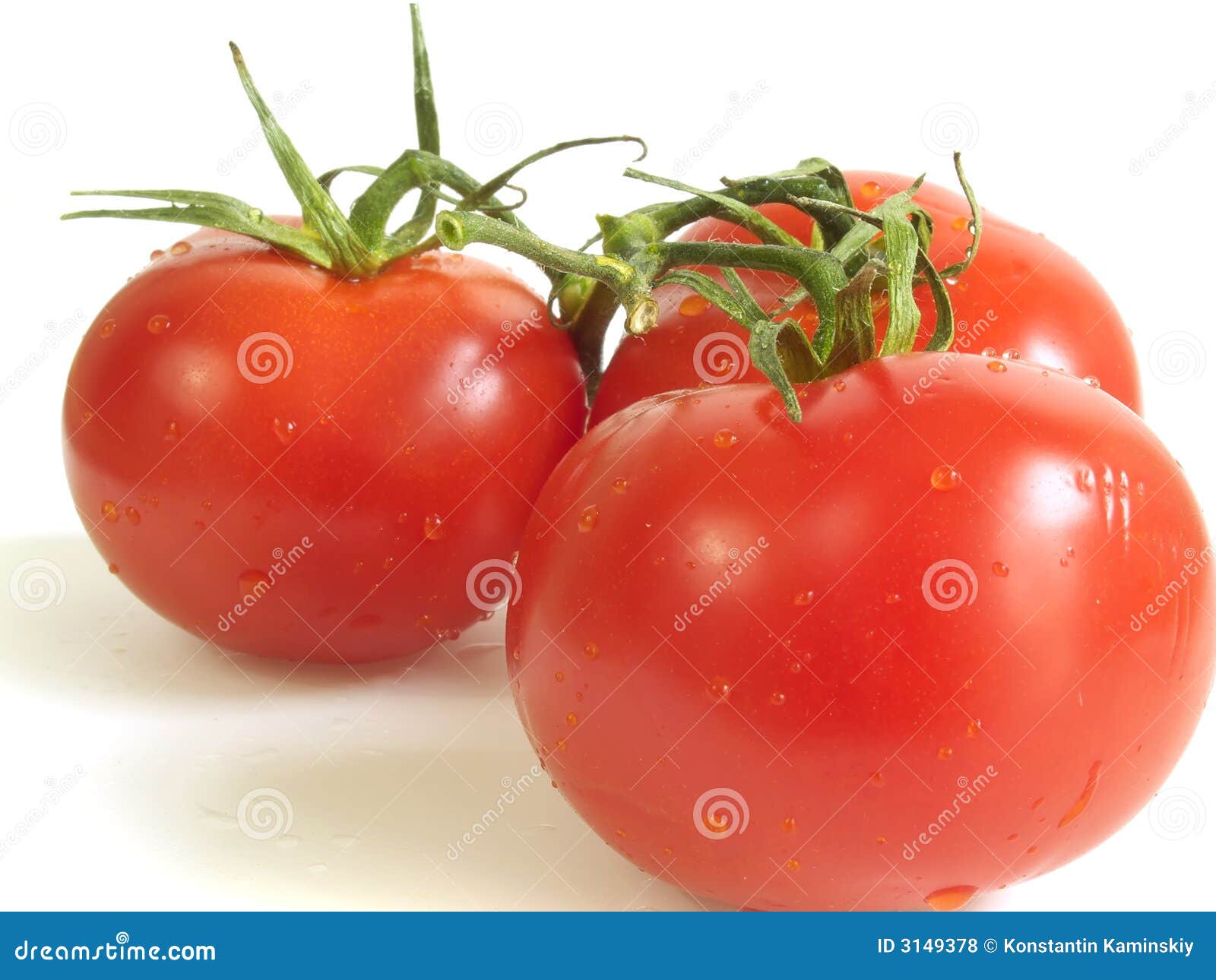 Tree vine tomatoes stock photo. Image of juicy, food, healthy - 3149378