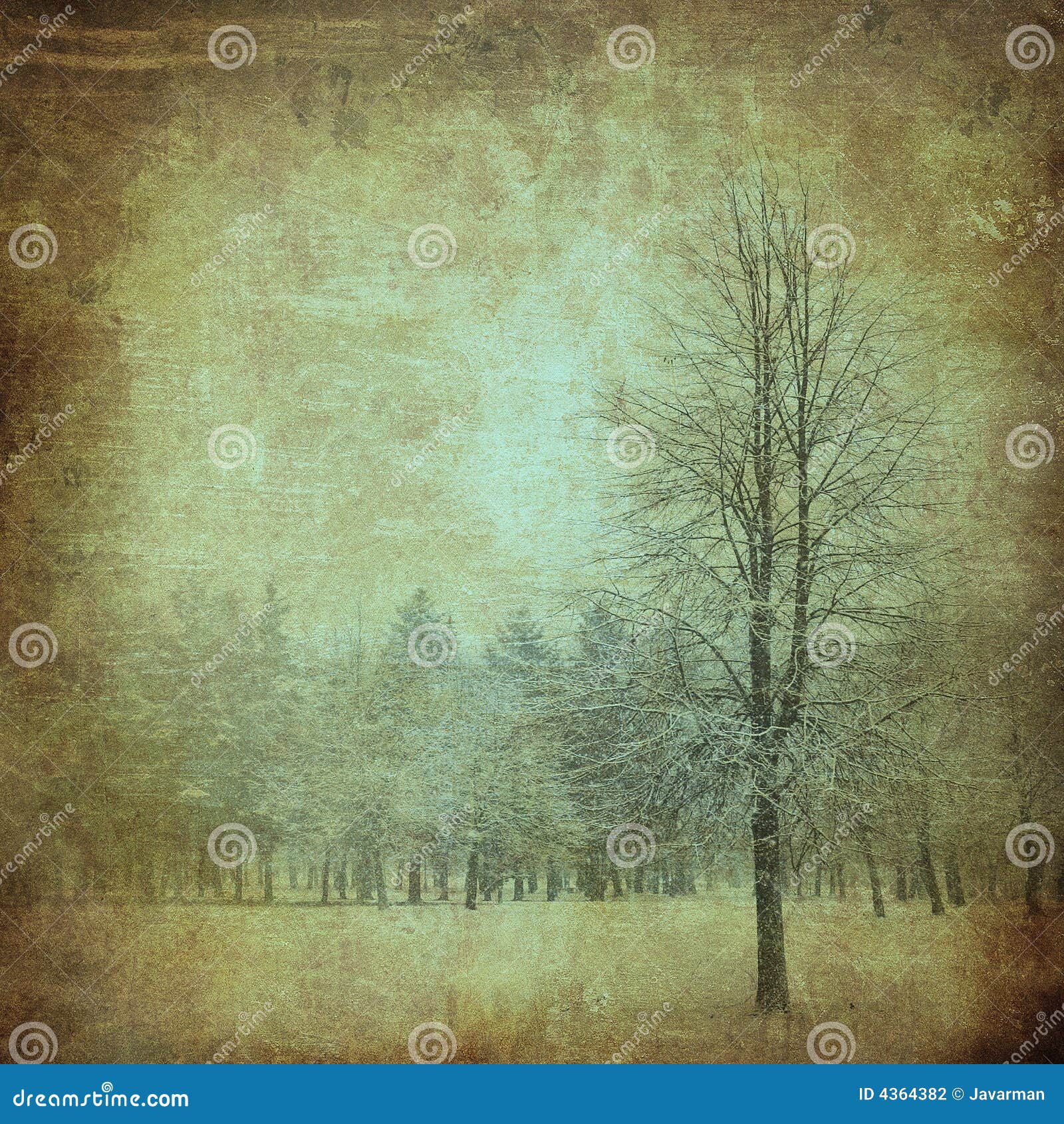 Tree on a vintage paper stock illustration. Illustration of country ...