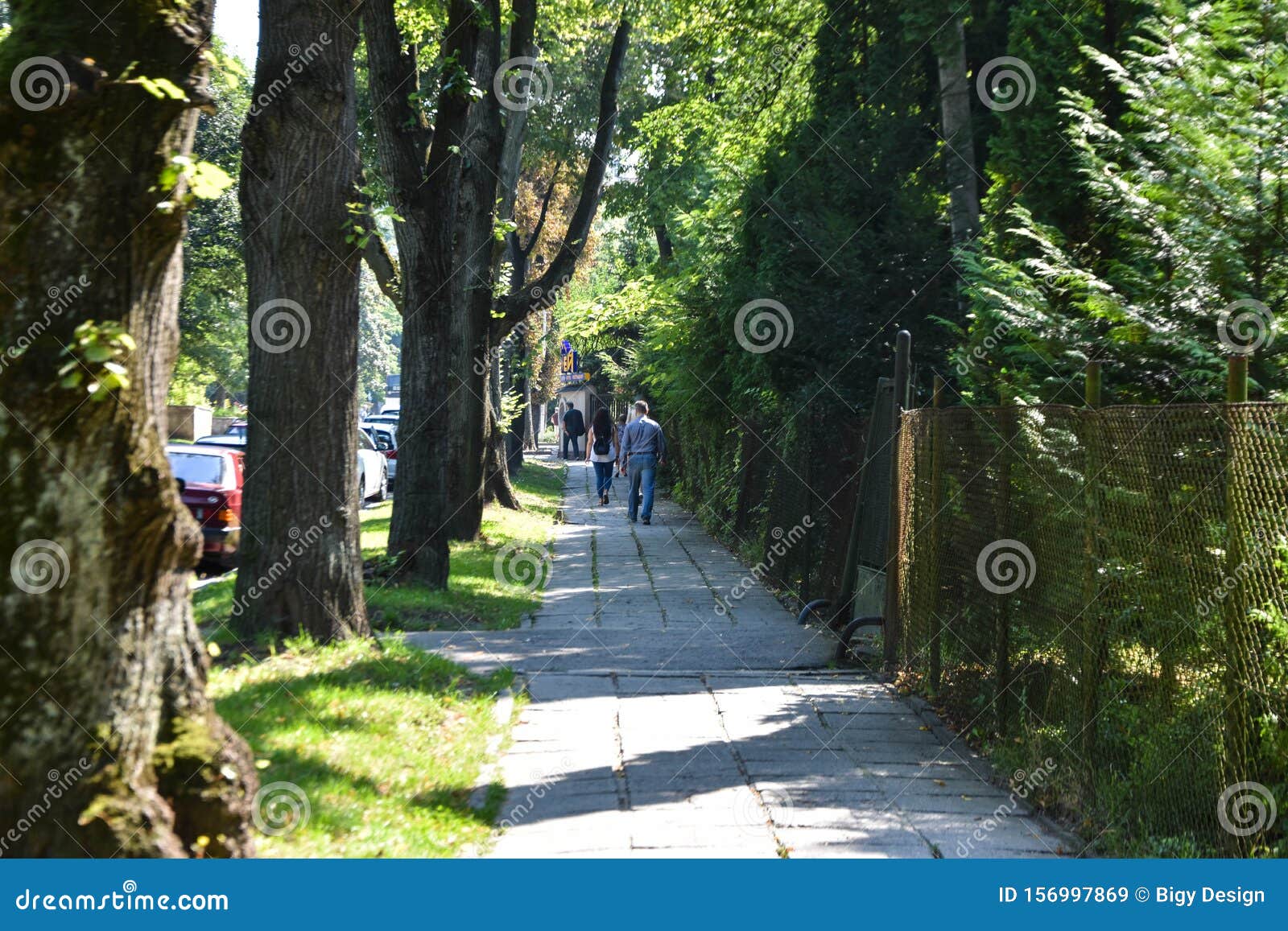 Tree Top Walk In Janske Lazne. High Tower For Walking Tourists In The ...