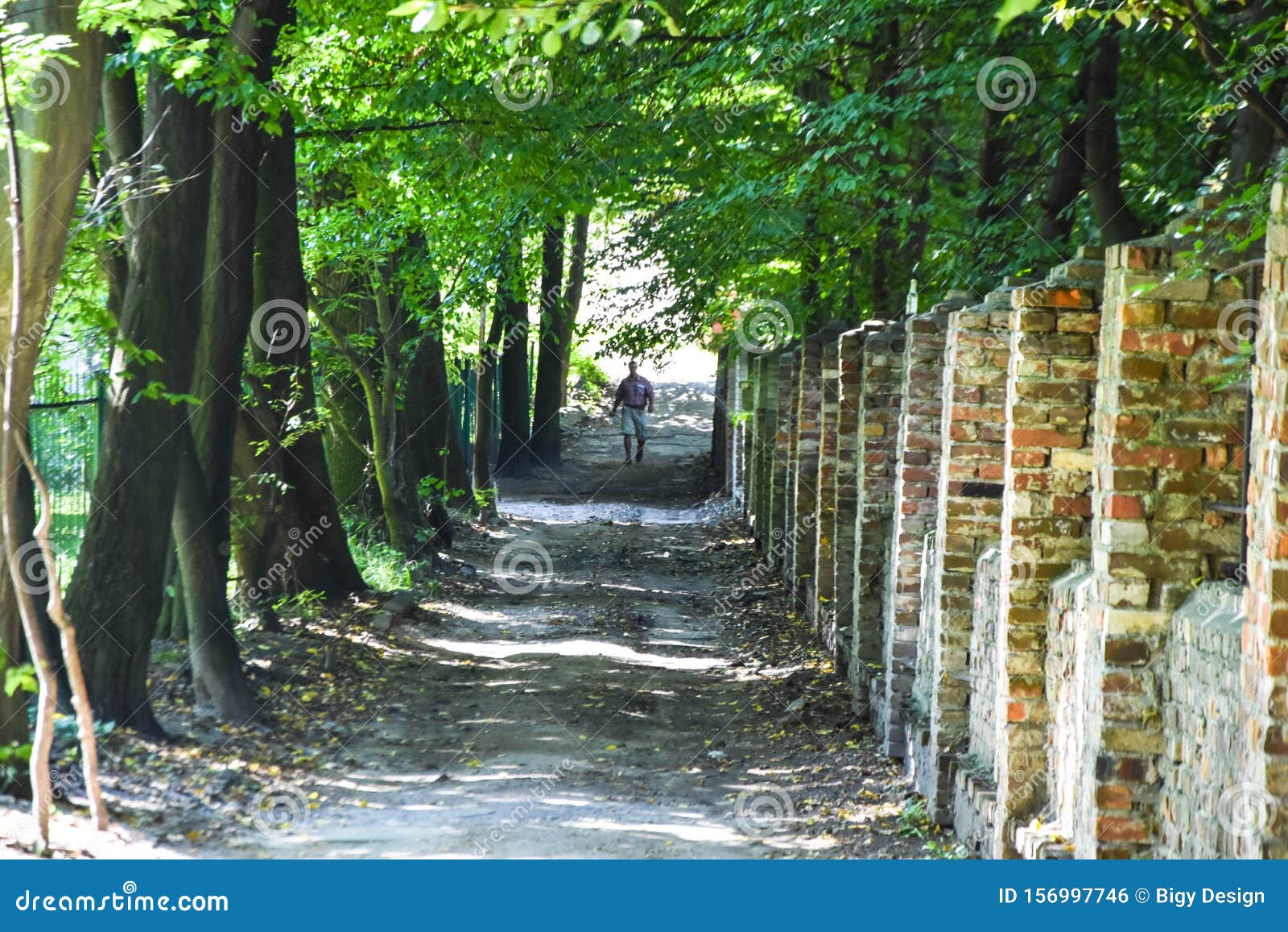 Tree Walk Path. Natural Background Editorial Photo - Image of pathway ...