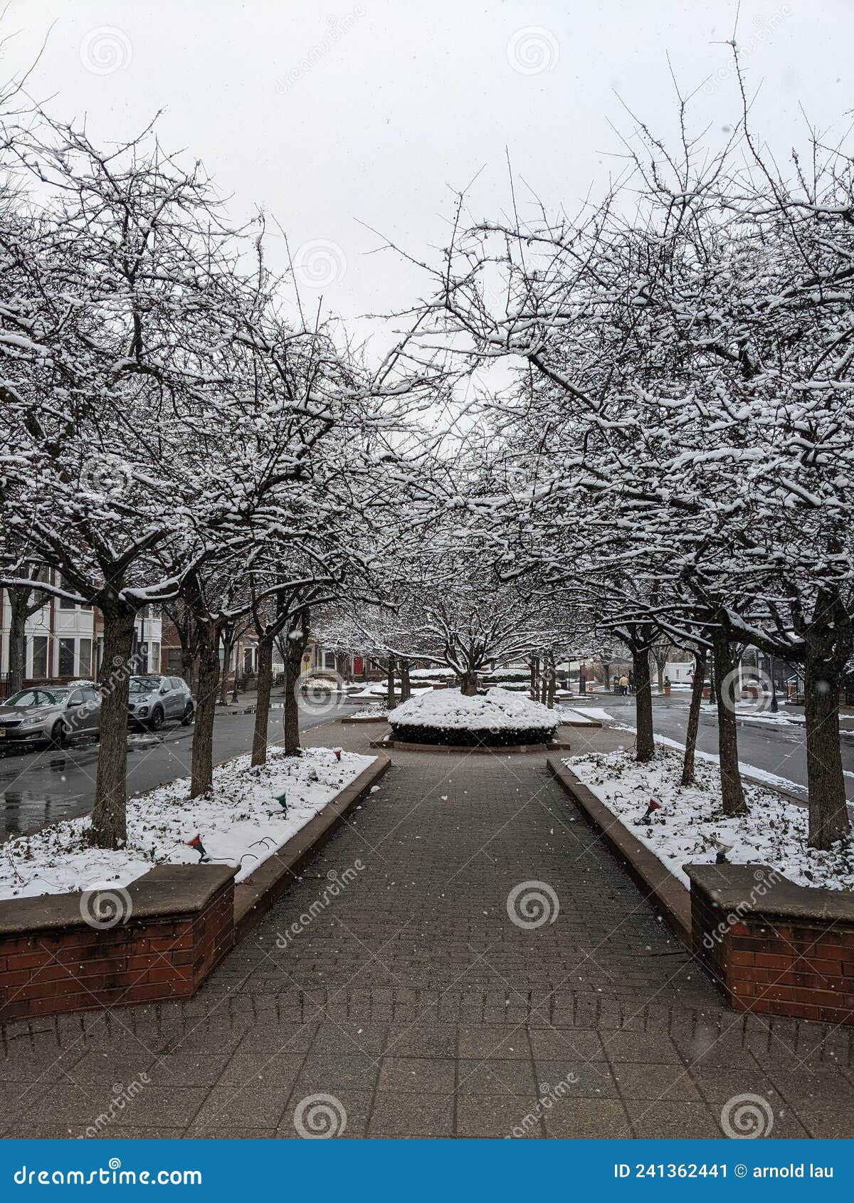 Tree Walkway Snow Covered Cold Day Stock Image - Image of city, street ...