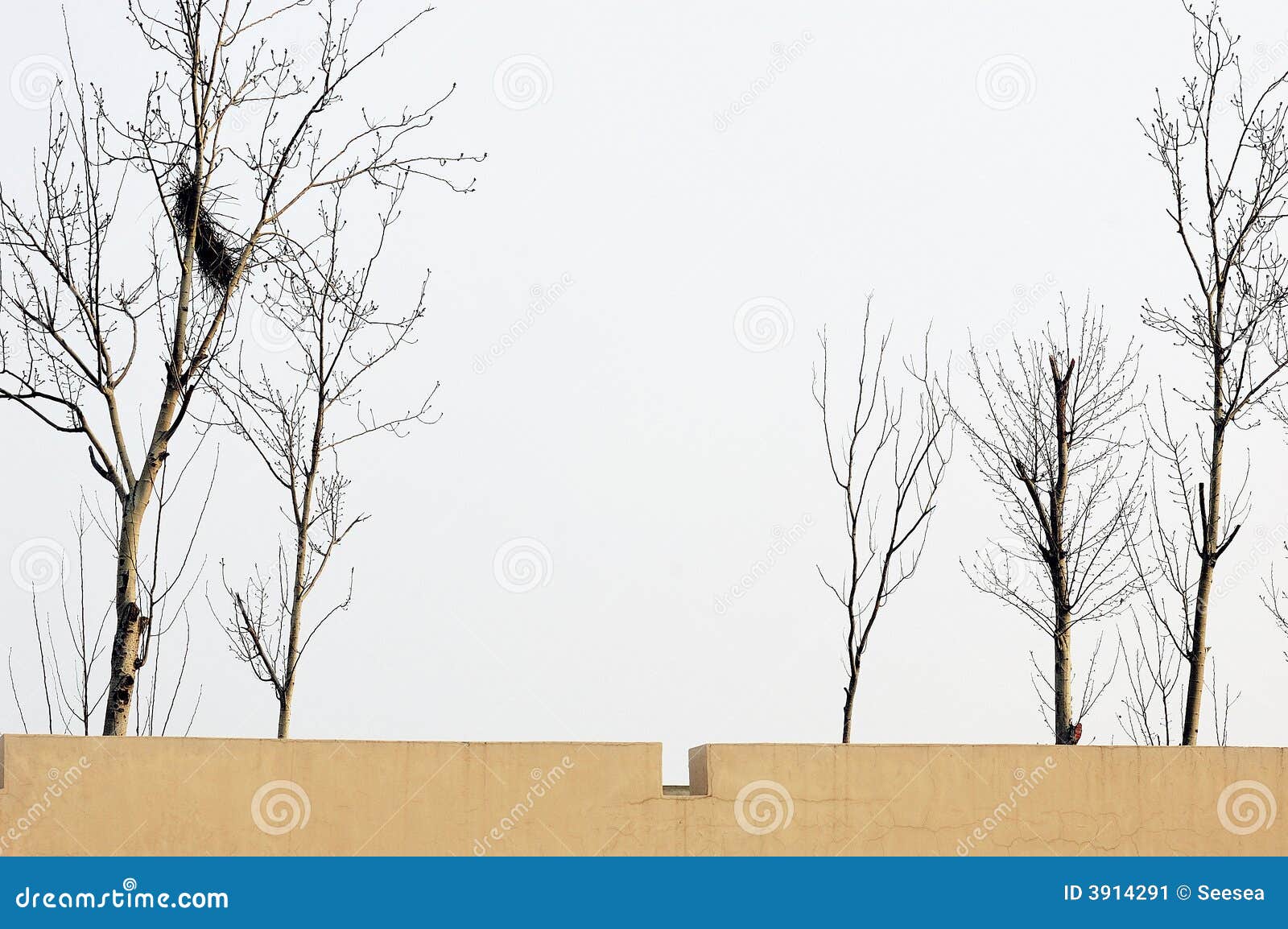 Tree and wall stock image. Image of tree, nature, wall - 3914291