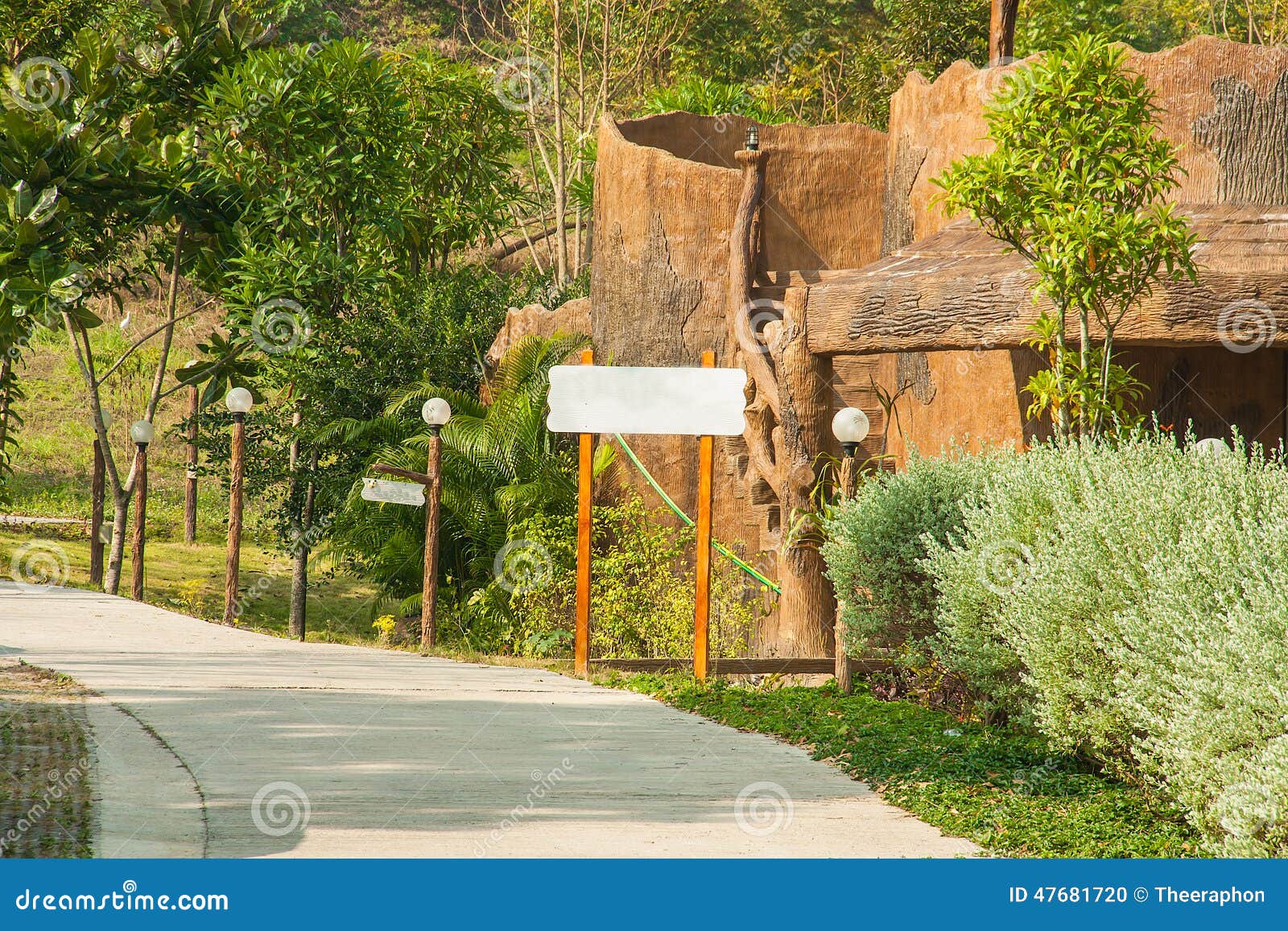 Tree wall stock photo. Image of park, route, bloom, plant - 47681720